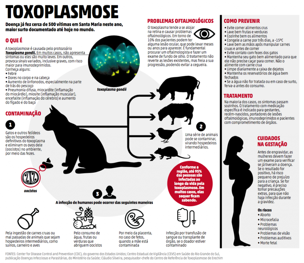 TOXOPLASMOSE - Doença ja fez cerca de 500 vítimas em Santa Maria neste ...