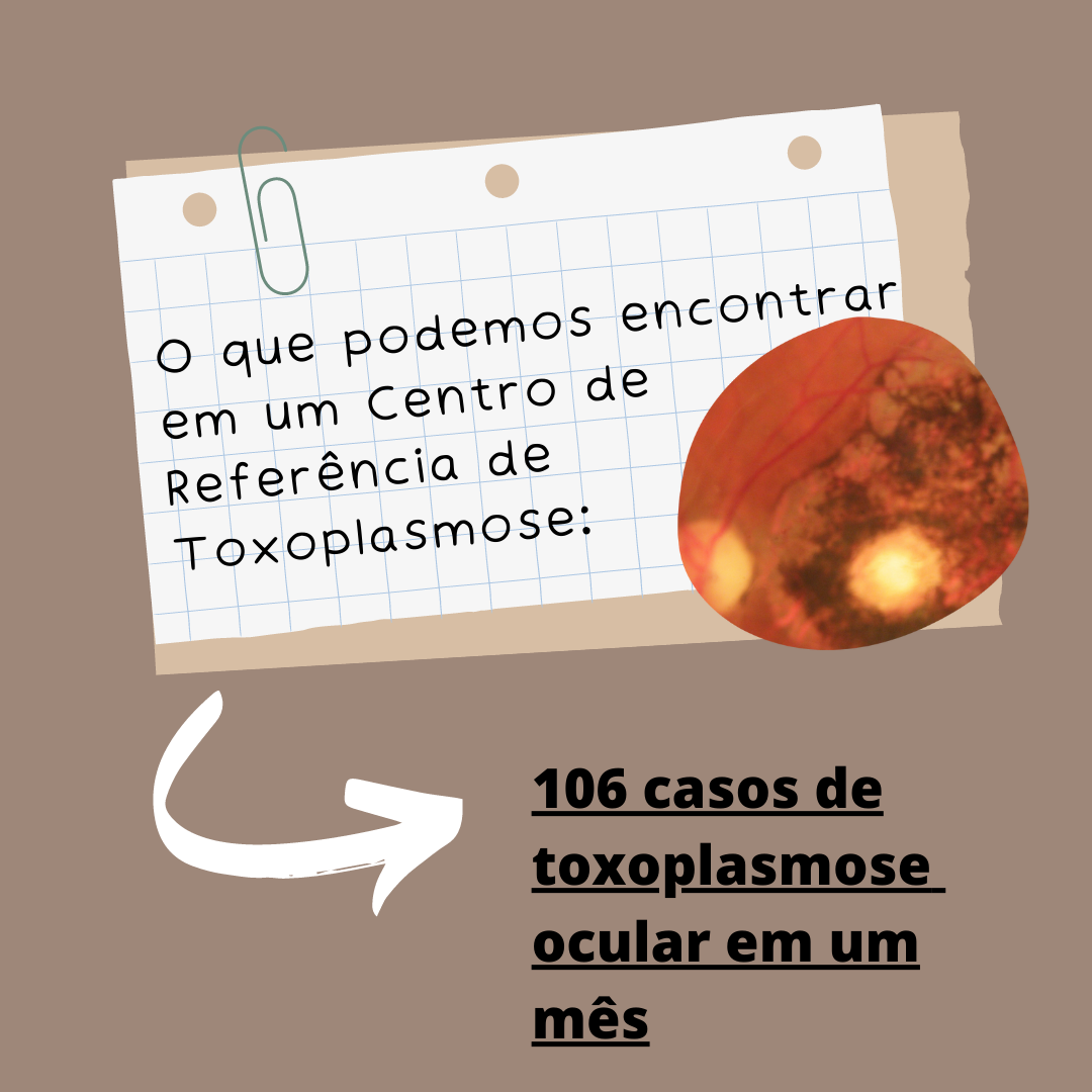 O que podemos encontrar em um Centro de Referência de Toxoplasmose ...